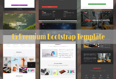 Bootstrap Template Bundle- 15 Premium Templates for your Sites
