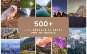 250+ Stock Animation Pack | Royalty Free Stock Animation Assets