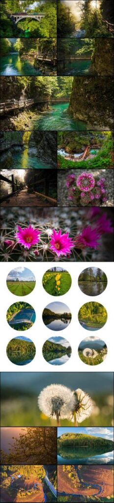 500+ High-Resolution Stock Images Bundle - Extended License