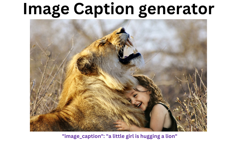 Skymel - Image Caption Generation API - 6 Months Plan | DealFuel