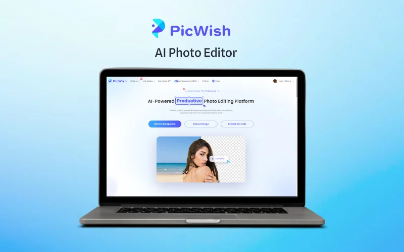 A Comprehensive Picwish Review - Blog | DealFuel